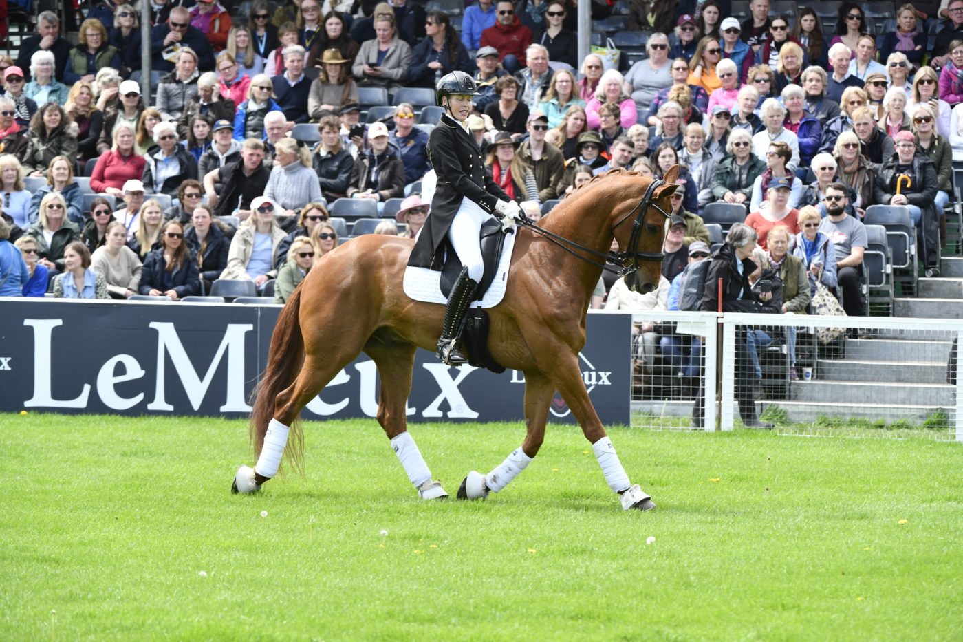 Badminton Horse Trials | Other Attractions